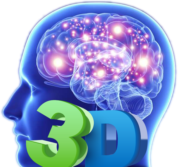 Stereo Vision 3D Vision 